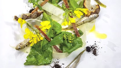 Rezept Raps von Heinz Hanner und Roland Huber auf ROLLING PIN