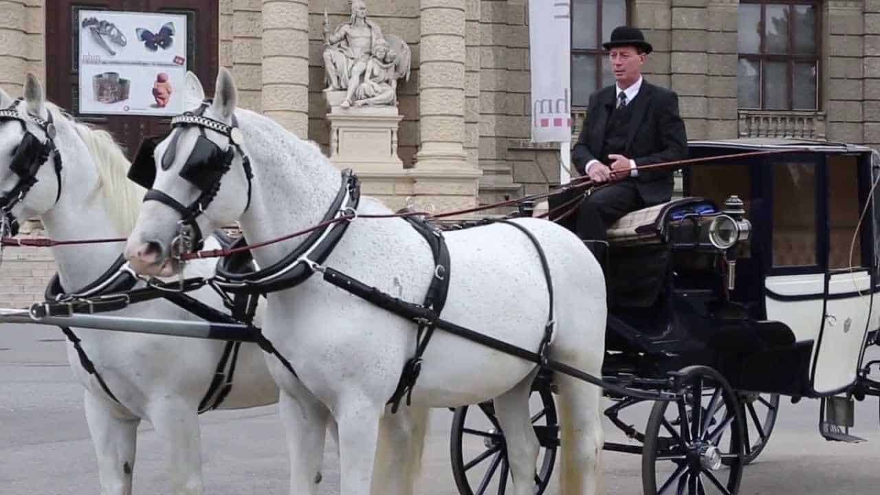 Intercontinental und Wiener Fiaker liefern in Corona-Krise Essen für ...